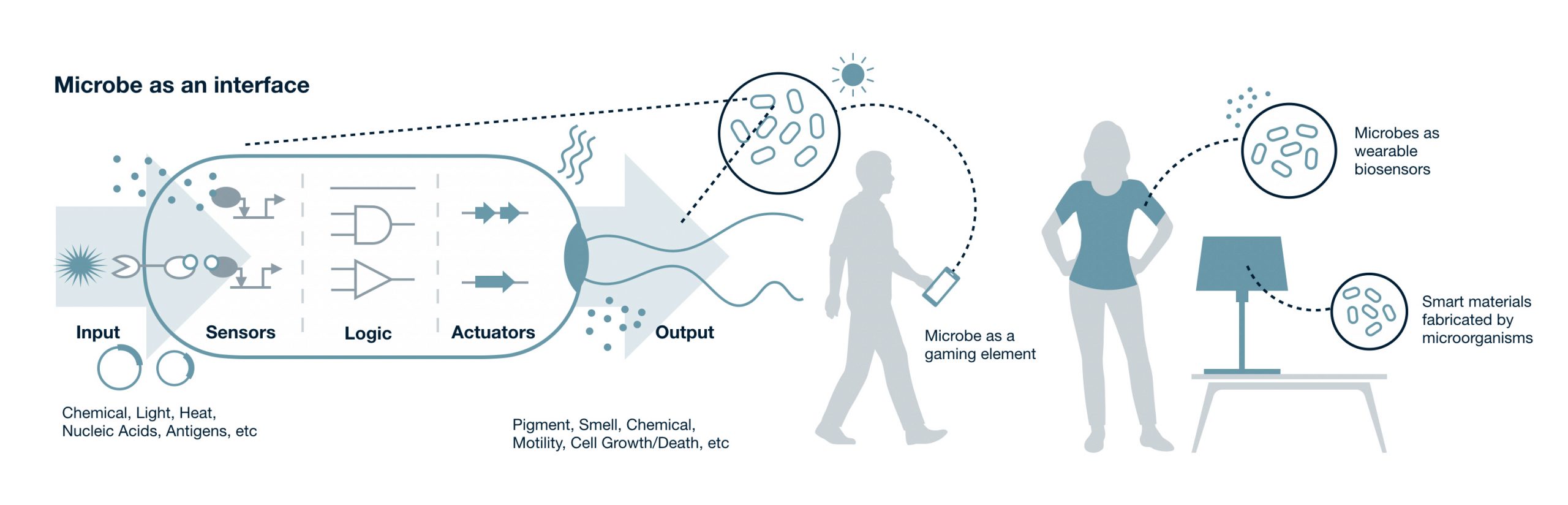 Wearable Biotech & Growable Interfaces